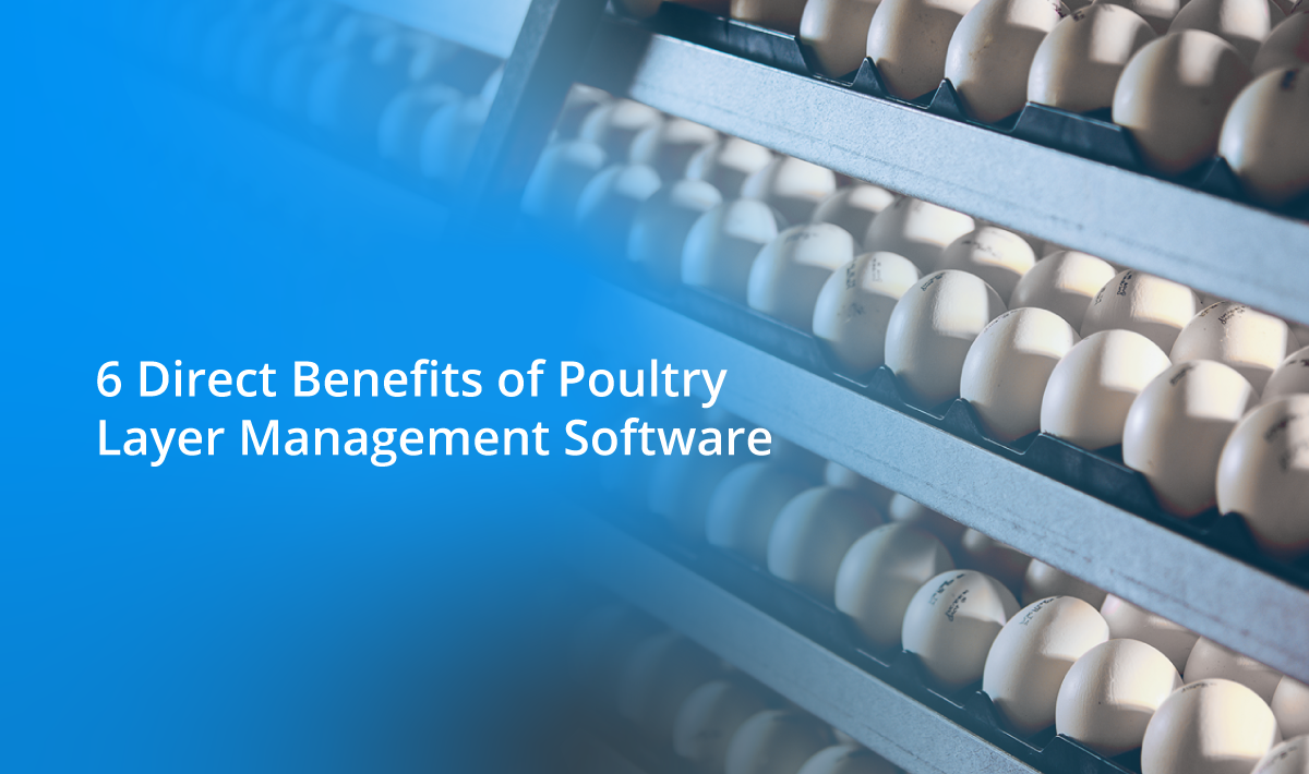 6 benefícios diretos do software de gerenciamento de camadas de aves ...