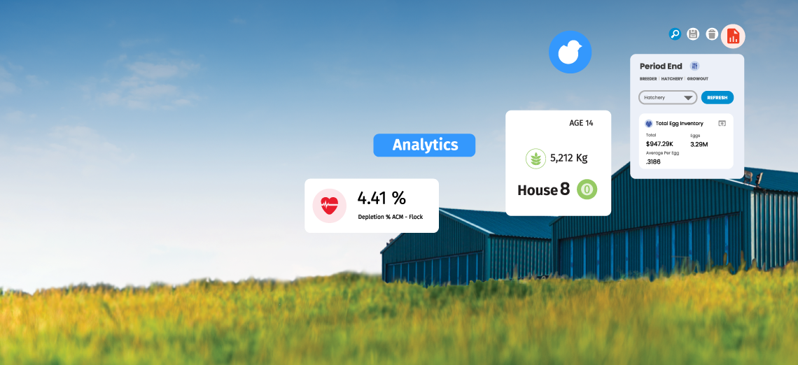 How Data-Driven Poultry Farming is Revolutionizing the Industry - MTech Systems